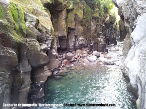 Foto Macho de Monte, Chiriquí